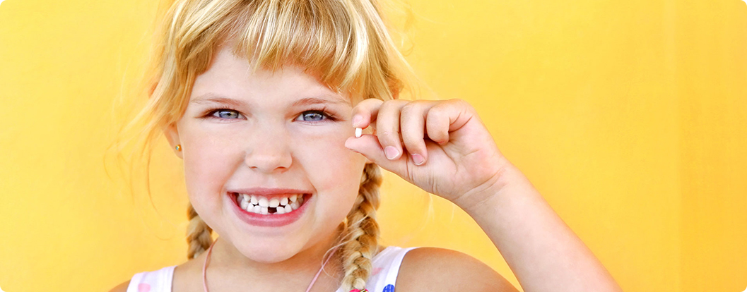 Tooth Fairy Rules | Tooth Fairy Guidelines | FlutterPop